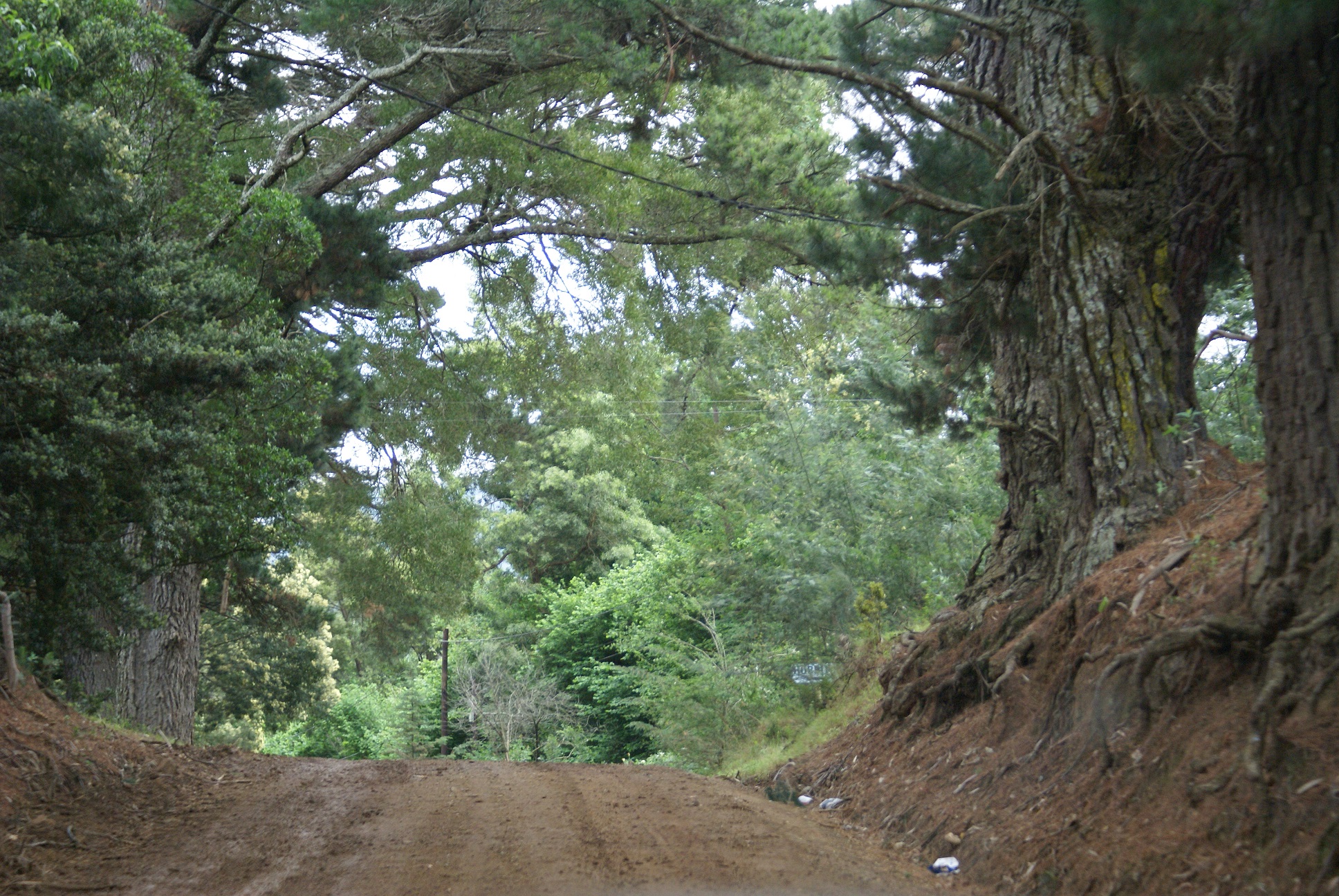 Die Wedloop. – Wees stil